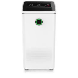 Brandson Kompressor-Luftentfeuchter, bis 10 l pro Tag, 2,5-l-Wassertank, Timer, Schlafmodus und W&auml;schetrocknungsfunktion