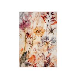 Peyer Syntex Teppich Modern Art Blumen bunt 120/170 cm