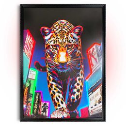 SONSTIGE Bild NEW YORK CAT