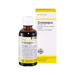CRATAEGUS Dilution vet. 50 ml