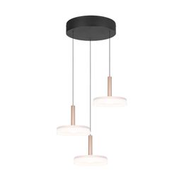 Trio Pendelleuchte CELESTE