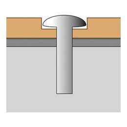 MORION Justizspiegel 500 x 250mm Edelstahl beschichtet ; Moravia (258.27.080)