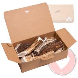 FOURLEGS &reg; Kauspa&szlig; f&uuml;r Hunde aus 100% Hirschgeweih GANZ
