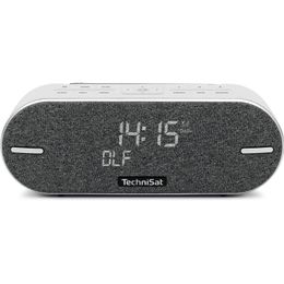 Technisat DIGITRADIO BT 2 Bluetooth-Lautsprecher mit DAB+, Akku lichtgrau lichtgrau