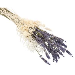 buttinette Trockenblumen-Sortiment, flieder-wei&szlig;-natur