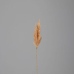 DPI Kunstpflanze PAMPASWEDEL