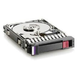Hewlett-Packard Enterprise HPE Entry 571230-B21 Interne Festplatte 250GB