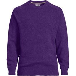 LANDS' END Rundhalspullover aus Lambswool, Herren, size: regular, Lila, Wolle, by Lands' End