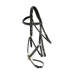 Covalliero Trense Cancun VB/ COB (Vollblut)