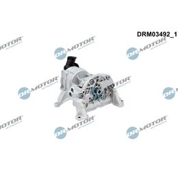 DR.MOTOR AUTOMOTIVE &Ouml;lpumpe DRM03492 f&uuml;r VW