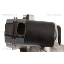 TRISCAN Bremssattel 8175 10251 f&uuml;r DS