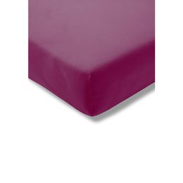 Estella Spannbetttuch Jersey-Stretch