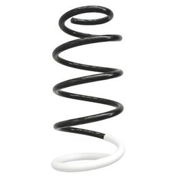 SPIDAN Fahrwerksfeder 86709 Vorderachse f&uuml;r Fiat Citro&euml;n/Peugeot