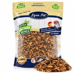 LYRA PET Protein Boost Insekten Mix - mit Mehlw&uuml;rmern, Shrimps & Grash&uuml;pfern 1 kg