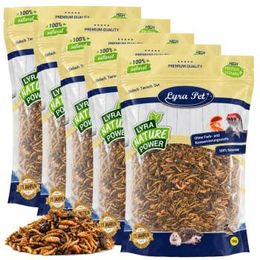 LYRA PET Protein Boost Insekten Mix - mit Mehlw&uuml;rmern, Shrimps & Grash&uuml;pfern 10 kg