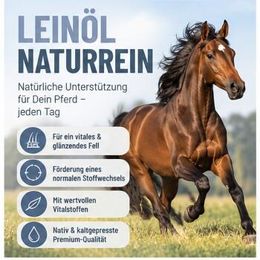 REAVET Lein&ouml;l naturrein 5L