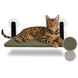 PIUPET Katzenfensterliege gr&uuml;n