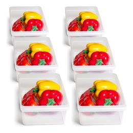 Novaliv 6X K&uuml;hlschrank Organizer 30,5 x 7,5 x 16 cm BPA-frei Ordnung Made in Germany Leicht Reinigen Lebensmittelecht Aufbewahrung f&uuml;r K&uuml;che Haushalt Sp&uuml;hlmaschinenfest Ordnungssystem K&uuml;che