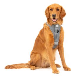 PetSafe Kurgo Tru-Fit Autosicherheitsgeschirr f&uuml;r Hunde, Gr&ouml;&szlig;e XL, Grau