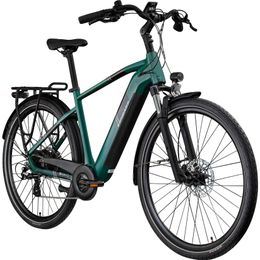 Z&uuml;ndapp Z&uuml;ndapp Z810 E Bike Herren Trekkingrad ab 175 cm Elektrofahrrad 550 Wh Pedelec Trekking Rad Fahrrad mit 8 Gang und Beleuchtung StVZO