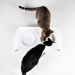 LucyBalu Futterstation DINE wei&szlig;