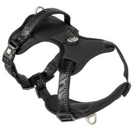 Max & Molly Sport Geschirr - Matrix 2.0 Black XL