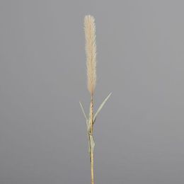 DPI Kunstblume Pampasgras