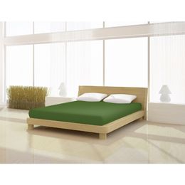 Mr. Sandman Spannbetttuch Full Elastan de luxe 180-200 x 200-220 cm