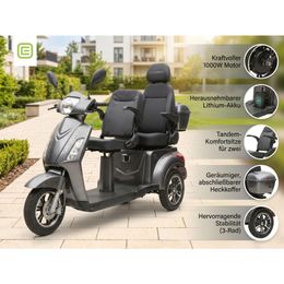 ECONELO E-Seniorenmobil Billy 2.0, Lithium-Akku, 3-Rad, 60V, 1000 Watt, gro&szlig; Sitz, Grau