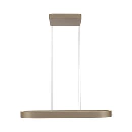 Paul Neuhaus Pendelleuchte Q-STRETTO