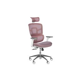 Carmen 7579 Ergonomischer B&uuml;rostuhl mit Netzr&uuml;cken, Kopfst&uuml;tze, 3D-Armlehnen und Alu-Fu&szlig;kreuz &ndash; Rot
