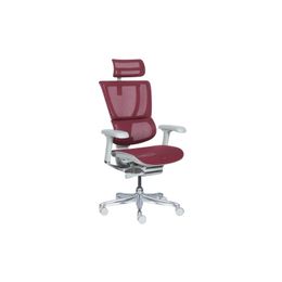 Ergohuman IOO ELITE 2 Ergonomischer B&uuml;rostuhl &ndash; Grau/Rot