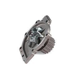 HEPU Wasserpumpe P056 f&uuml;r Volvo Ford RENAULT