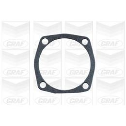 Graf Wasserpumpe PA585 f&uuml;r LANCIA Fiat