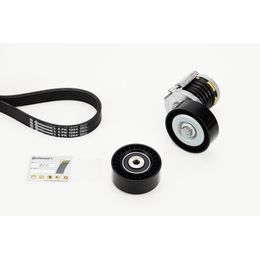 CONTINENTAL CTAM Keilrippenriemensatz 6PK1264K1 f&uuml;r Audi