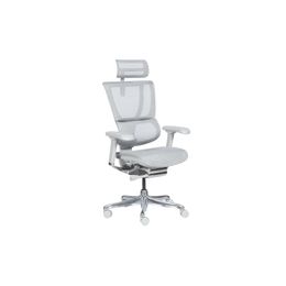Ergohuman IOO ELITE 2 Ergonomischer B&uuml;rostuhl &ndash; Grau