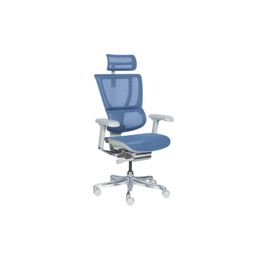 Ergohuman IOO ELITE 2 Ergonomischer B&uuml;rostuhl &ndash; Grau/Blau