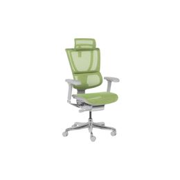 Ergohuman IOO ELITE 2 Ergonomischer B&uuml;rostuhl &ndash; Grau/Gr&uuml;n