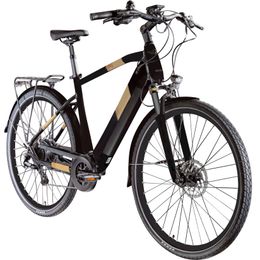 Z&uuml;ndapp Z&uuml;ndapp Z810 E Bike Herren Trekkingrad ab 175 cm Elektrofahrrad 550 Wh Pedelec Trekking Rad Fahrrad mit 8 Gang und Beleuchtung StVZO