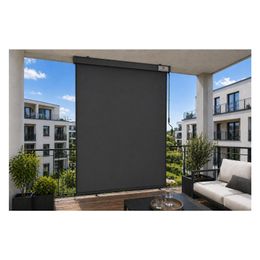 Strattore Ausziehbare Senkrechtmarkise / Vertikalmarkise 140 x 250 cm - Anthrazit