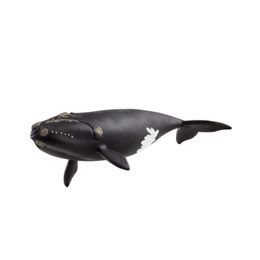 Schleich Nordatlantischer Glattwal