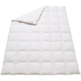 OBB Bett