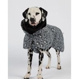 Paikka Visibility Winter Jacket Seawool grey leo 40 cm