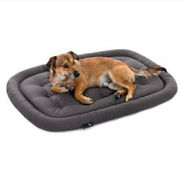 Doctor Bark Pointer Hundekissen grau L