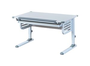 4010340986953 - ergonomischer Schülerschreibtisch Skalare in Weiss und Grau mit 1 Schublade