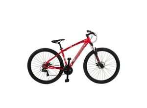 8053340135743 - Via Veneto Mountainbike 29 Zoll MOONSTER