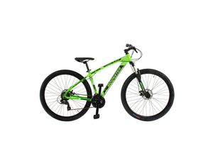 8053340135767 - Via Veneto Mountainbike 29 Zoll MOONSTER