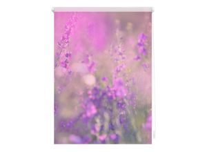 4251369835109 - Seitenzugrollo ORIGINAL Rollo Klemmfix ohne Bohren Verdunkelung Blumenwiese Rollos Gr 100 cm stufenlos positionierbar 150 cm bunt (fuchsia violett weiß) Kinder Kinderzimmer-Rollos