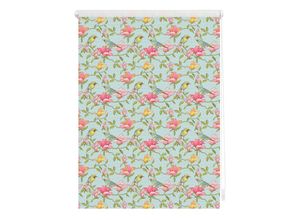 4250434115672 - Lichtblick Rollo Klemmfix ohne Bohren blickdicht Birds - Grün Pink 90 x 150 cm (B x L)