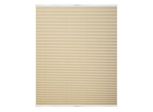 4250434113555 - Plissee ORIGINAL Klemmfix Plissees Gr 210 cm zweiseitig verschiebbar 60 cm beige (creme weiß) Kinder Klemm-Plissee Plissee Sonnenschutz-Plissee Kinderzimmer-Plissees Faltenstore